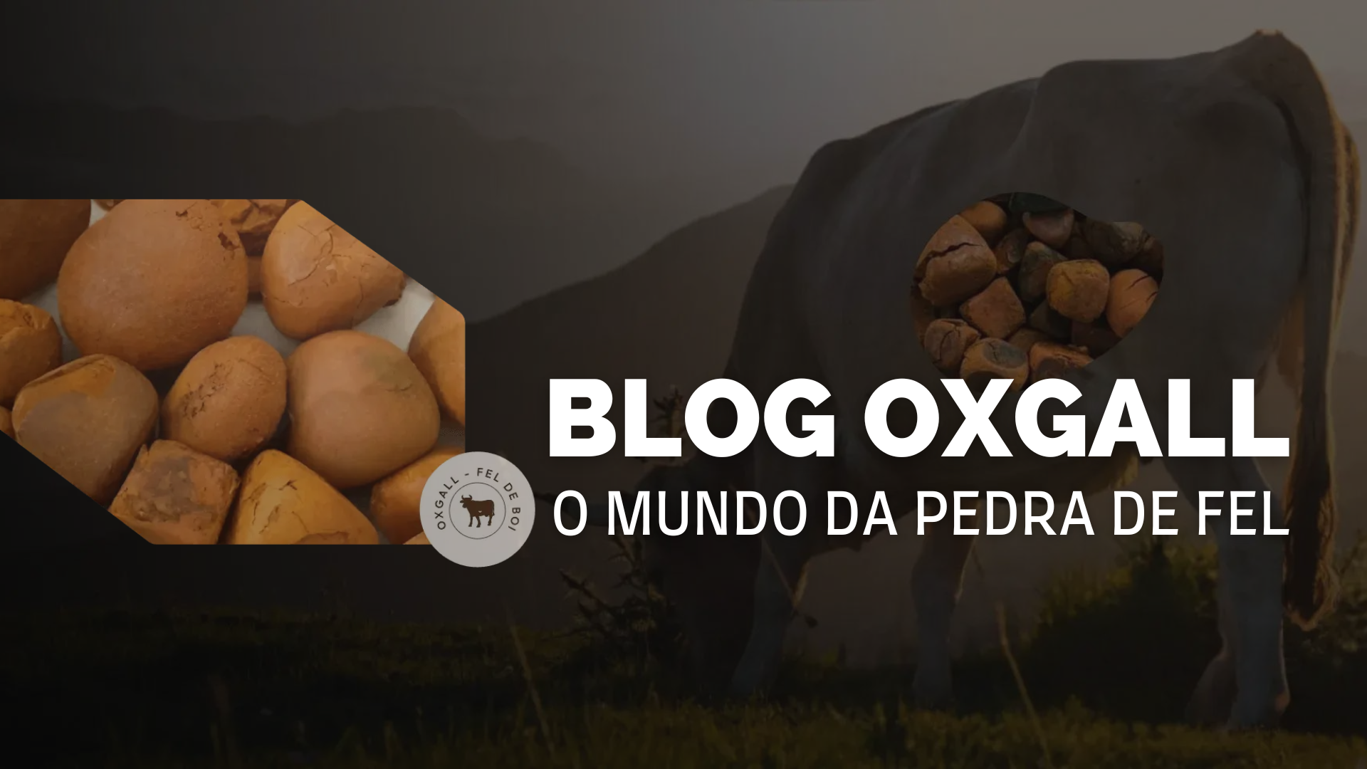 Oxgall Fel de Boi - Pedra de Fel | BLOG