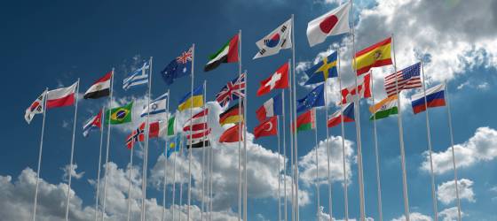 Oxgall Fel de Boi - Pedra de Fel | Explorando as tradições e crenças ...